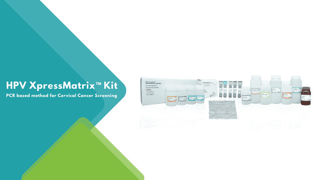 HPV XpressMatrix™ Kit | Kalgen-DNA