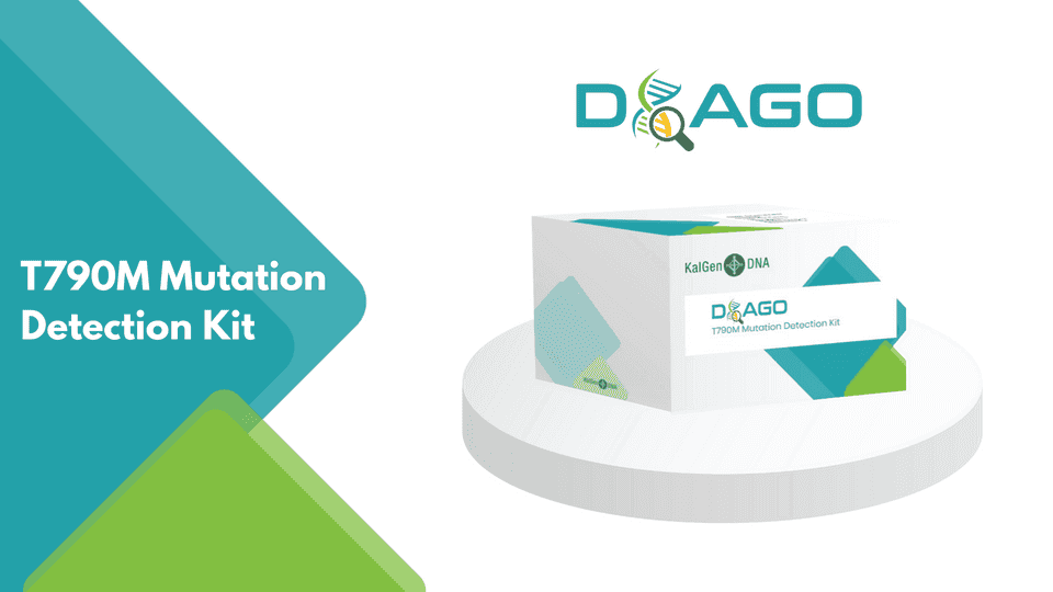 DIAGO T790M Mutation Detection Kit | Kalgen-DNA